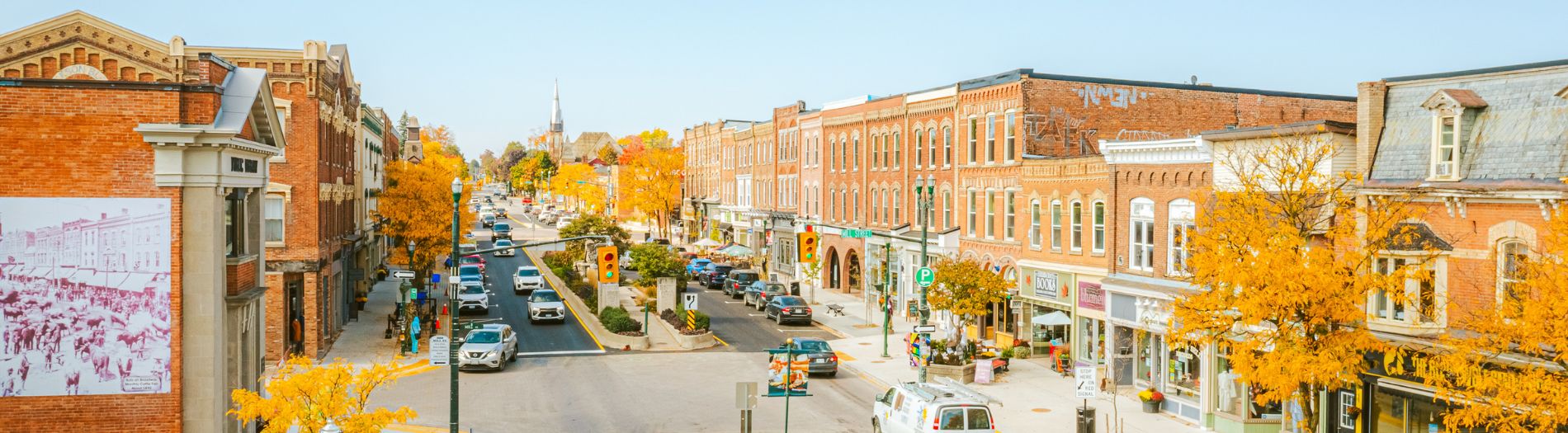 Economic Development & Culture - Town of Orangeville